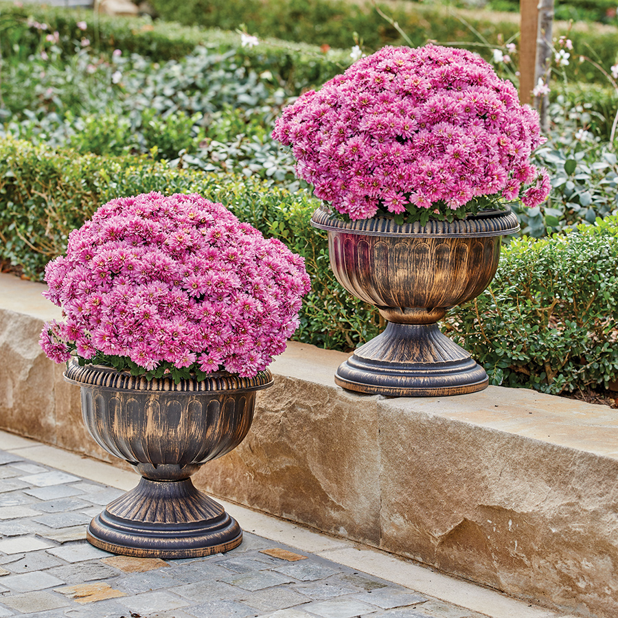 Bronze Look Pedestal Planters - Set of 2 - Innovations