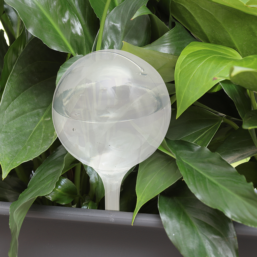 Plant Watering Spheres - Innovations